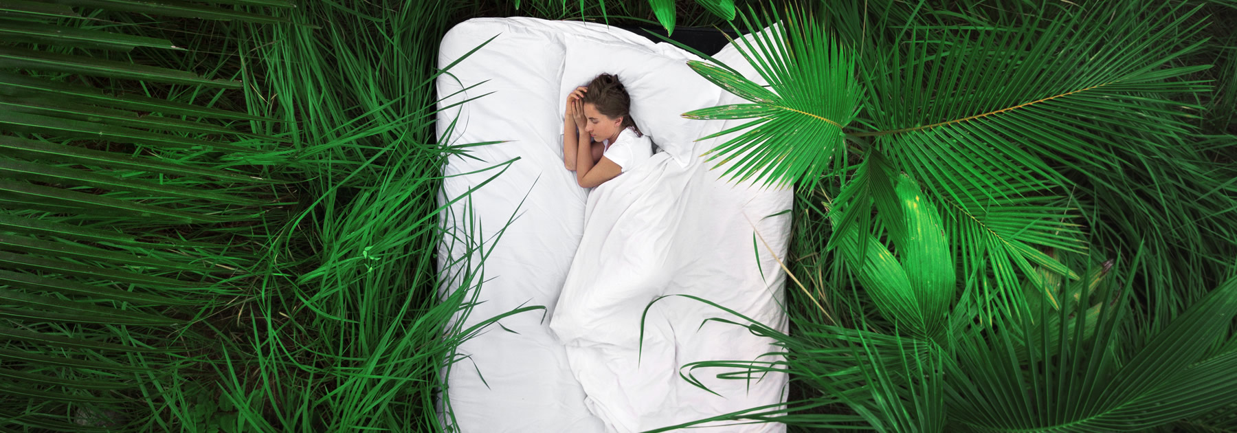 Our Story | About Sleep Earthing Mats and Sheets